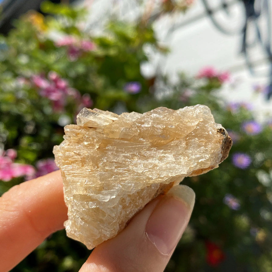 Crystal River Gems | Shop Unique Gemstones, Minerals, and Jewelry