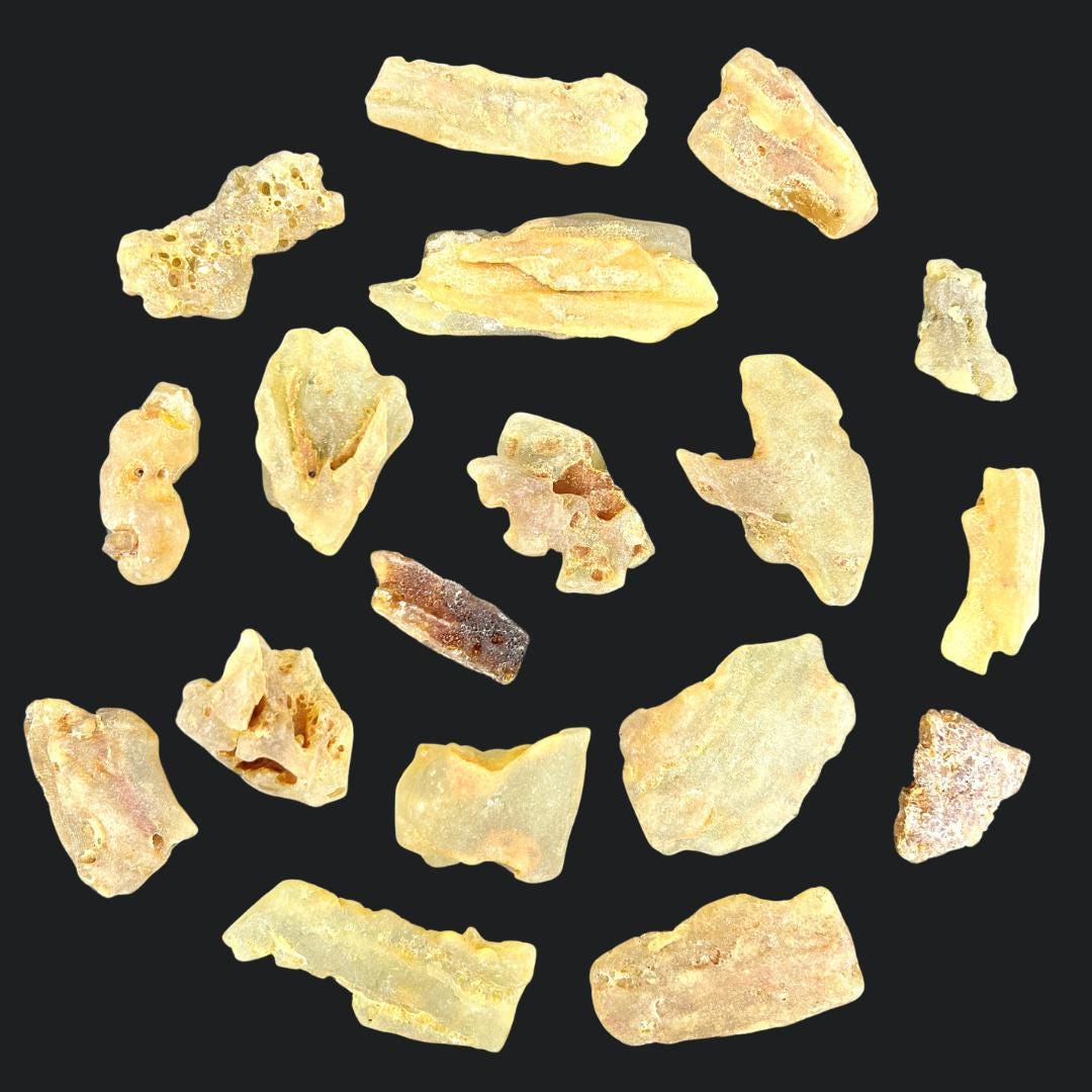 Colombian Amber 30 Grams Lot | Crystal River Gems