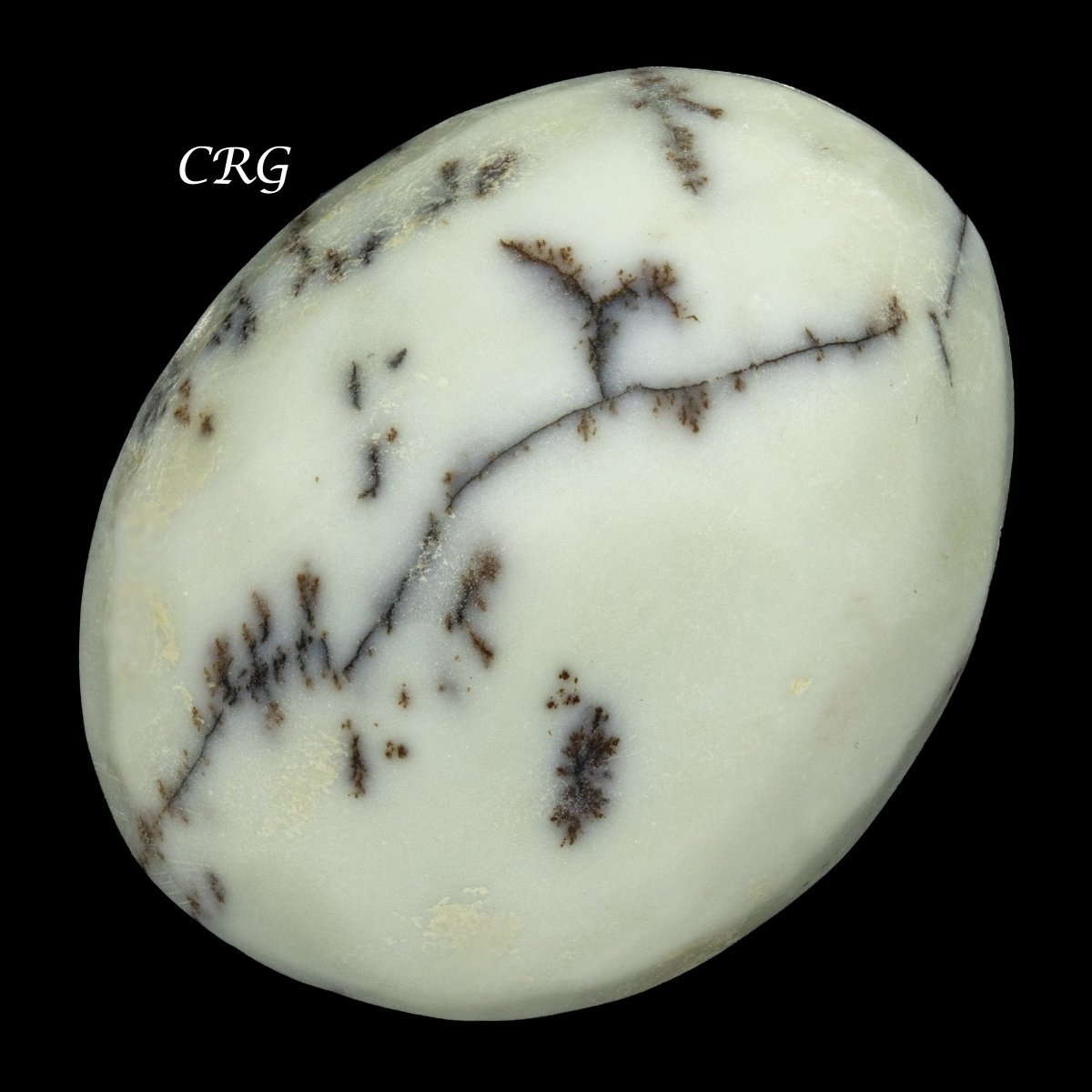 Dendritic Palm Stone (1 Pound) Size 1.5 to 2.5 Inches – Crystal River Gems