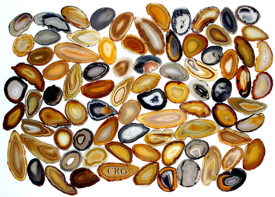 The Formation of Amber – Crystal River Gems