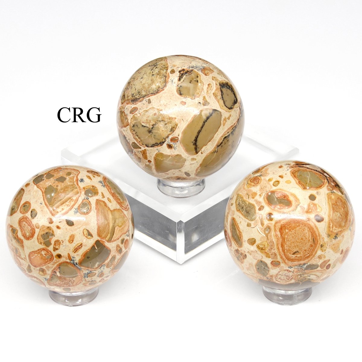 QTY 1 - Leopardite Jasper Sphere / 35-45mm AVG - Crystal River Gems